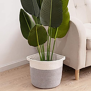 Lamberia 3 Packs Woven Storage Basket Bins 11x11 Laundry Basket Cube Organizer Storage Bins Woven Basket Cotton Rope Bin Storage Baskets for Organizing Toys Laundry Blanket Nursery Storage (Light