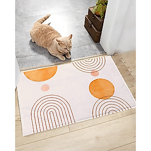 Indoor Doormat Boho Sun Mid Century Abstract Geometric,Shaggy Floor Mat with Non-Skid Backing Modern Minimalist Art,Machine Washable Plush Area Rug Carpets for Kitchen Nursery Bedroom 20x3in