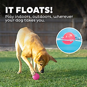 Outward Hound by Planet Dog Squeak Ball Bouncy Fetch Dog Toy, Pink