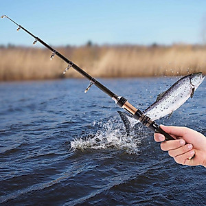 VGEBY Telescopic Fishing Rod, Ultra Light Portable Carbon Fiber Spinning Fishing Rod for Saltwater Freshwater (1.) Fishing Rods and Accessories