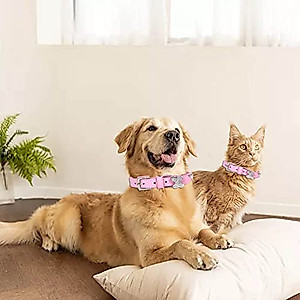 Dog Collar Leather Large Pet Bone Rhinestone Dog Collar Diamond Buckle Pet Leash Cat Collar