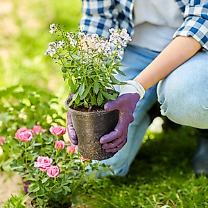 Bluepro 1 Gallon Reinforced Clear Nursery Pots with Drainage Hole, 30 Packs, 6.7 Inch Transparent Pots for Seedlings, Indoor/Outdoor Plants, Veggies, Flowers, and Professional Nursery Use