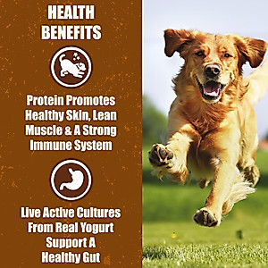 Whole Life Pet Living Treats for Dogs – Human Grade Dog Probiotics for Digestive & Gut Health, Gas, Diarrhea, Vomit & Constipation Relief, Dog Health Supplies - Peanut Butter, 12 Ounce (Pack of 1)