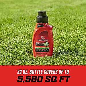 Ortho Outdoor Insect Killer Concentrate Kills Listed Ants, Spiders, Fleas & Ticks, 32 fl. oz.