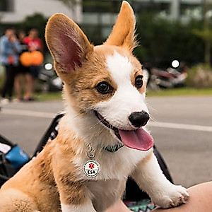 MYLUCKYTAG QR Code ESA Emotional Support Dog ID Tag - Pet Online Profile - Scan QR Receive Instant Pet Location Alert Email