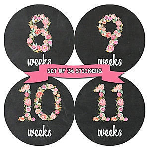 Months In Motion Pregnancy Weekly Belly Growth Stickers - Week to Week Pregnant Expecting Photo Prop - Maternity Keepsake - Baby Bump - Large Set of 36 Weekly Photo Sticker