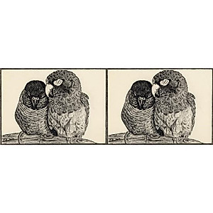 CafePress Conure Love Mug Ceramic Coffee Mug, Tea Cup 11 oz