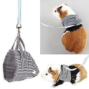 Small Pet Harness with Leash Outdoor Walking Comfort Adjustable Stripe Vest Lead Rope for Guinea Pig Hamster Ferret Baby Hedgehog Dutch Pig Blue S Size
