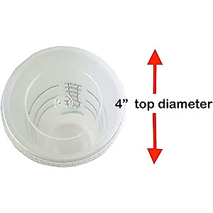 Starbucks 6 Pack Bundle - Reusable Frosted 24 oz Cold Cups with Lid and Green Straw w/ Stopper