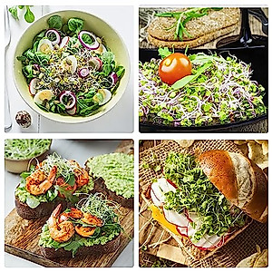 Luckyiren Complete Sprouting Kit - 2 Large Wide-Mouth Mason Jars, 2 Premium Screen Lids, 2 Blackout Sleeves, Sprout Stand and Tray for Indoor Microgreens Broccoli Alfalfa Radish Salad Mix Sprouts