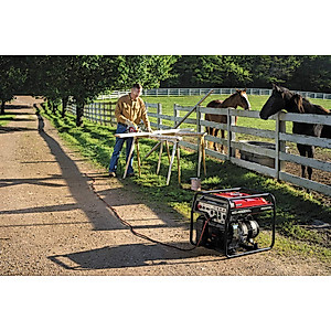 Honda 664342 EG4000 120V/240V 4000-Watt 270cc Portable Generator with Co-Minder