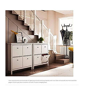 N/A Fashion Home Shoe Cabinet Solid Wood His Doumen Hall Cabinet Simplified Mail Delivery (Color : OneColor)