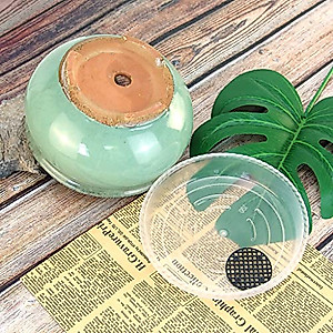 Summer Impressions 7 Inch Glazed Terracotta Plant Pot Round Ceramic Succulent Planter Pot with Drainage and Saucer Cactus Clay Pot Bonsai Pot