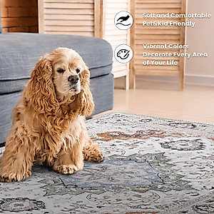 Area Rug Non-Slip 4'x6' Printed Indoor Accent Rug Washable Low-Pile Foldable Carpets Indoor Entry Throw Rug for Bedroom Living Room Dining Playroom