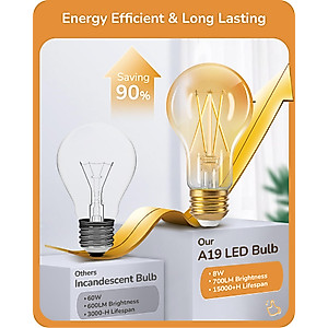EDISHINE Vintage LED Edison Bulbs 8W, 60W Equivalent, 2200K Amber Warm Light, ST58 Antique Edison Light Bulb with 80+ CRI, A19 Dimmable Light Bulbs, 700LM, E26 Medium Base, 6 Pack