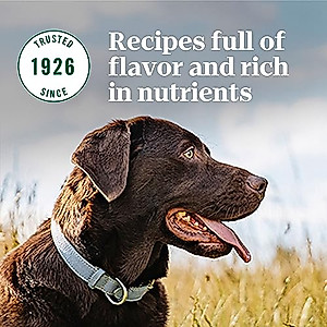 NUTRO NATURAL CHOICE Large Breed Adult Dry Dog Food, Lamb & Brown Rice Recipe, 40 lb. Bag