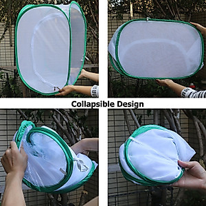 Trasfit Pop-up Insect and Butterfly Habitat Cage Terrarium - 24 Inches Tall