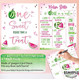 One in A Melon Party Decorations, Watermelon First Birthday Party Supplies, Watermelon Birthday Party Supplies, One in a Melon Backdrop High Chair Banner, Baby 1st Birthday Balloon Boxes for Girl 1st Birthday Party