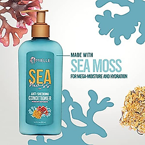 Mielle Organics Sea Moss Anti-Shedding Conditioner