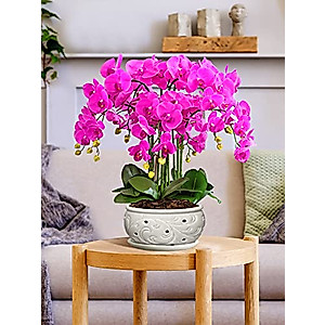 5 Quarts Orchid Potting Bark, Sun-Dried New Zealand Medium Organic Pine Wood Chip Barks for Orchids Mix Plant Compost, Natural Houseplant Mulch for Plant Root Development