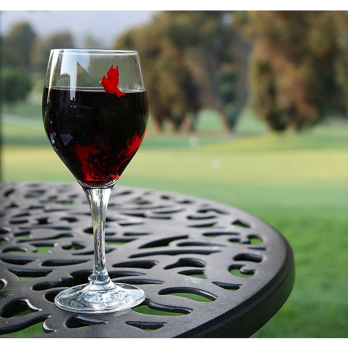 Simply Charmed Bird Wine Glass Charms - Magnetic Drink Markers to Identify All Your Glassware - Set of 6 Cocktail Charms