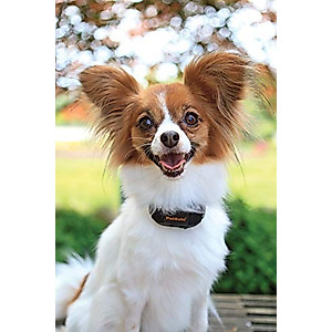 PetSafe Vibration Bark Control Collar,Black,Adjustable
