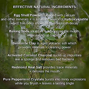 Shwally Magical Tooth Powder W/Hydroxyapatite & Fluoride Free Amish Eggshell + Coconut Charcoal & Peppermint Crystals - 100% Fluoride Free ReMineralizing, Whitening & Polishing 200+ Brushings (2 oz)