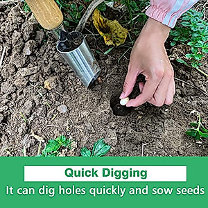 Berry&Bird Bulb Planter Tool, 12" Stainless Steel Garden Bulb Transplanter, Manual Hole Digger with Wooden Handle, Transplanting Agricultural Dibble Tool for Seed Planting & Flower Planter