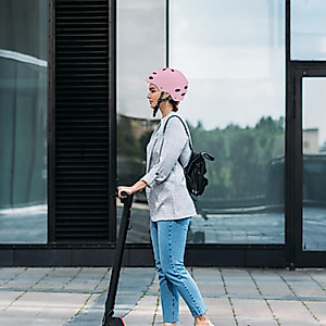 Zinsser Company 62008 8 oz. Suregrip All Purpose Powder Adhesive & Wall Size