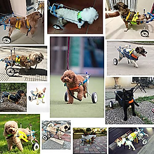 HobeyHove Adjustable Dog Cart/Wheelchair for Back Legs，Pet/Doggie Wheelchairs with Disabled Hind Legs Walking，Light Weight (7-Size)(XXS)