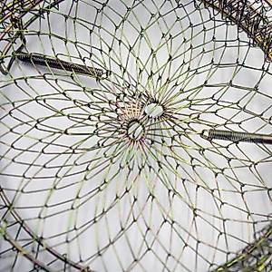 OperSeven Metal Rustproof Fish Basket, Collapsible Fshing Net Cage Fish Baskets for Live Fish Robust and Easy to Use