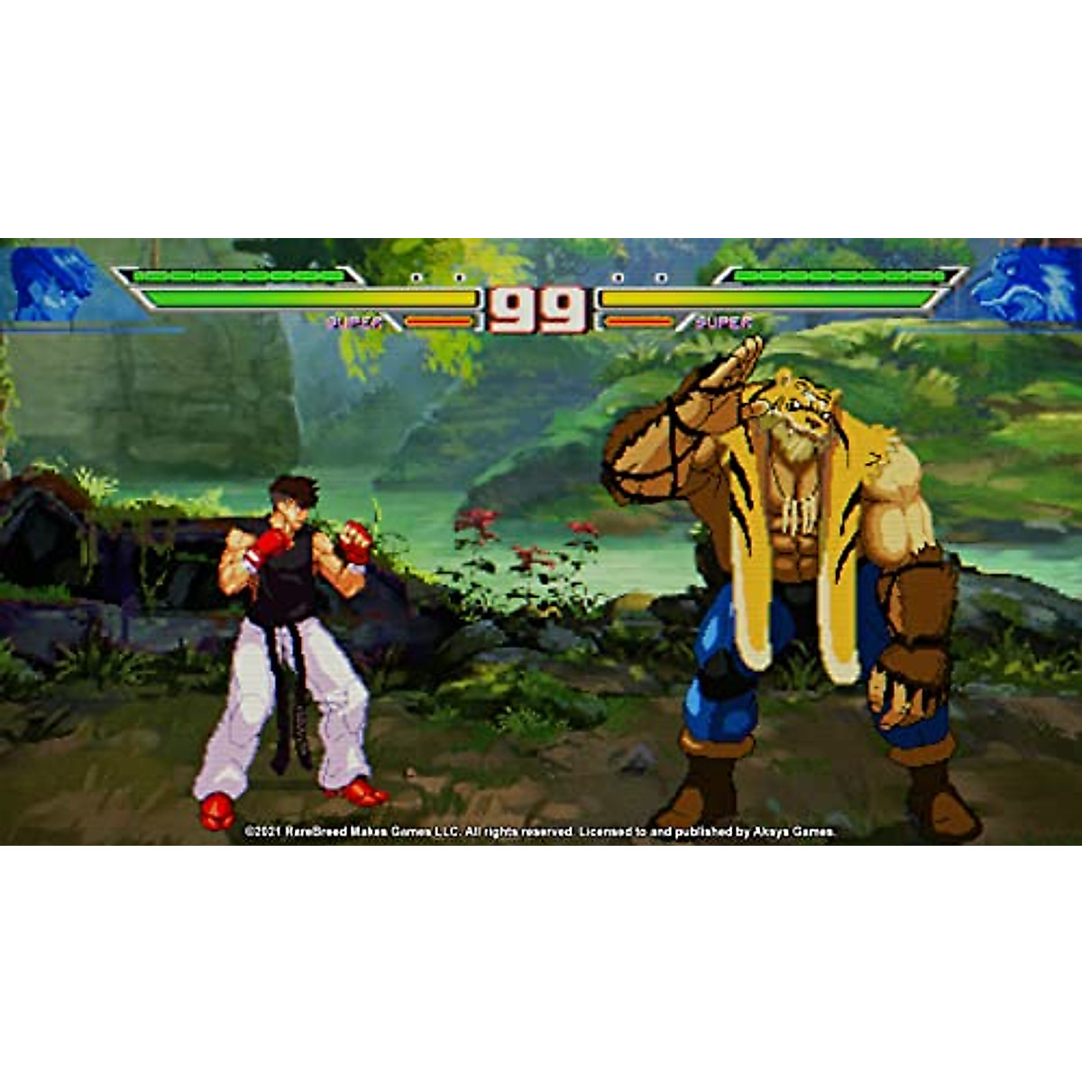 Blazing Strike Limited Edition - Switch - Nintendo Switch Limited Edition