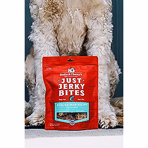 Stella & Chewy's Just Jerky Bites Real Beef Recipe Dog Treats, 6 oz. Bag