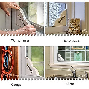 Trappify Window Fly Traps: House Window Fruit Fly Traps for Indoors, Gnat, & Other Flying Insect, Disposable Indoor Fly Trap with Extra Sticky Adhesive Strips - Inside Home Housefly & Bug Catchers (8)
