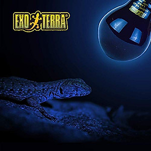 Exo Terra Night Glo Moonlight Heat Lamp, A19 Reptile Terrarium Light Bulb, 75 Watts, PT2130A1