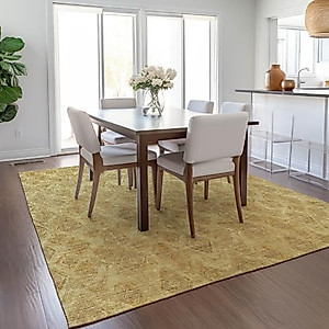 Addison Rugs Chantille ACN622 Gold 3' x 5' Indoor Outdoor Area Rug, Easy Clean, Machine Washable, Non Shedding, Bedroom, Living Room, Dining Room, Kitchen, Patio Rug