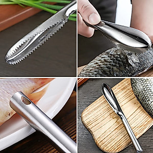 4 Pieces Fish Scale Remover Cleaner Kit Fish Scale Cleaning Tool Fish Skin Grates Stainless Steel Serrated Fish Scale Scraper for Kitchen Fish Cleaning Tools