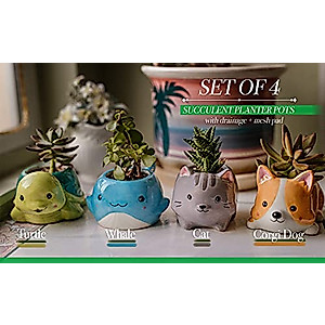 happyEase Succulent Planters - Cute Animal Succulent Pots with Drainage (Set of 4) - Dog Cat Whale Turtle - Small Planter Pot for Indoor Outdoor Decoration, Garden Decor, Indoor Planter, Garden Gifts