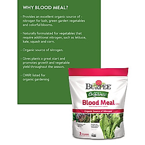 Burpee Organic Blood Meal Fertilizer | Add to Potting Soil | Excellent Natural Source of Nitrogen | for Tomatoes, Spinach, Broccoli, Leafy Greens | 3 lb, 1-Pack