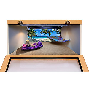 Carolina Custom Cages Reptile Habitat Background, Tropical Beach and Palm Trees, 15.75" x 36"
