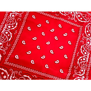 Children's Train Conductor Dress Up - Hat, Whistle, and Neckerchief (1 SET)