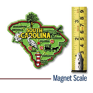 South Carolina Colorful State Magnet by Classic Magnets, 3.6" x 3.3", Collectible Souvenirs Made in The USA