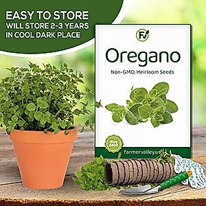 Oregano Seeds for Planting Home Garden Herbs - Individual Pack of 300+ Heirloom Seeds, Suitable for Outdoors, Indoors, and Hydroponics - Non-GMO, Non-Hybrid, Untreated, and USA Grown Variety