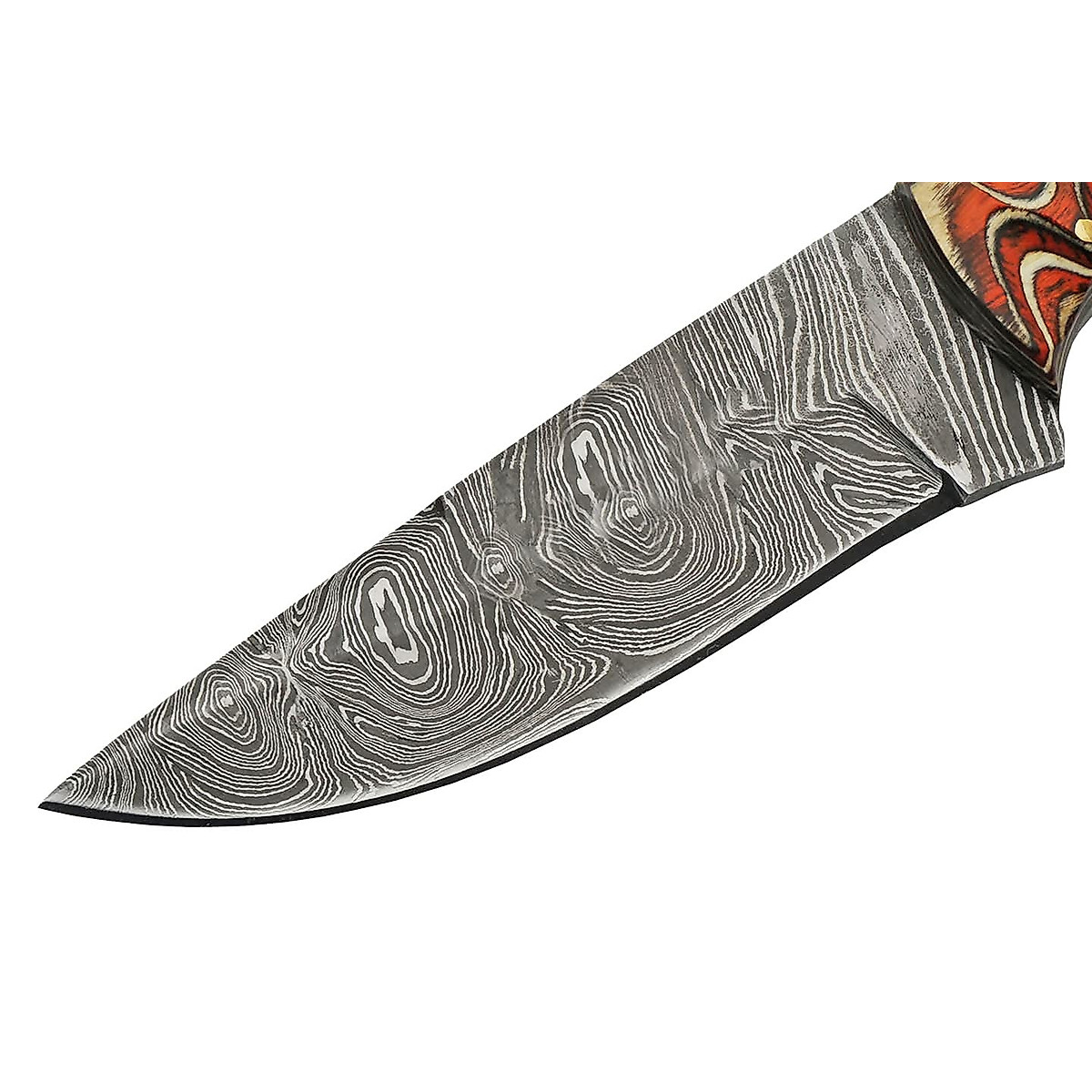 Szco Supplies 8" Orange Twisted Wood Exotic Hunting Knife with Sheath