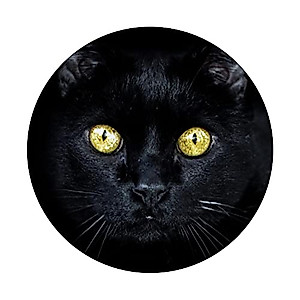 Black Cat Kitty Kitten PopSockets Swappable PopGrip