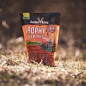 Antler King Trophy Clover Mix