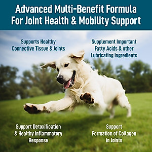Saint Barkus Advanced Joint Health & Mobility Support for Dogs with glucosamine, chondroitin, MSM, Green-lipped Mussels. Support no-Kill Shelters with Your Purchase! - 60 Soft Chews