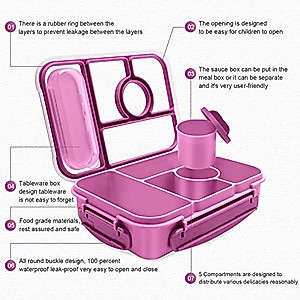Amathley Bento Lunch box for kids, Adults/Kids/Toddler,5 Compartments with Sauce Vontainers,Microwave & Dishwasher & Freezer Safe, BPA Free(Purple)