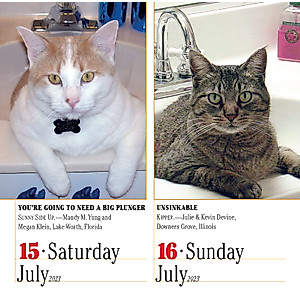 365 Cats Page-A-Day Calendar 2023: The World's Favorite Cat Calendar
