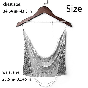 Fairyu Boho Sequins Body Chain Bra Bikini Shimmer Backless Halter Crop Top Beach Body Jewelry Accessory for Women (Silver)